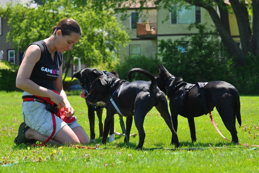 Volunteer Spotlight: Ericka Bueno | PAWS New England