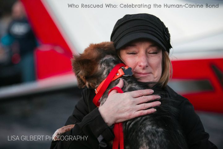 Who Rescued Who: Celebrating the Human-Canine Bond | PAWS New England